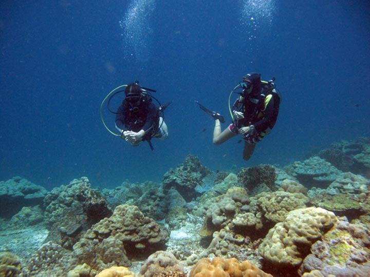 Koh Lanta Diving Prices - Dive And Relax Koh Lanta
