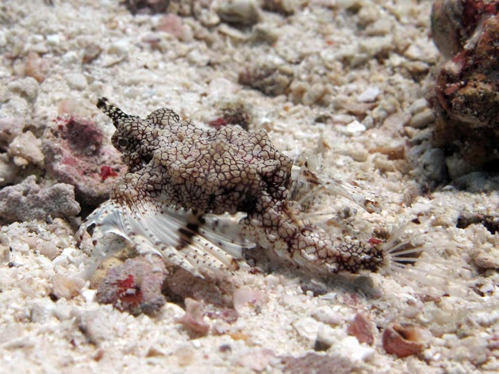 Koh Lanta Diving with Seamoths - Dive And Relax Koh Lanta