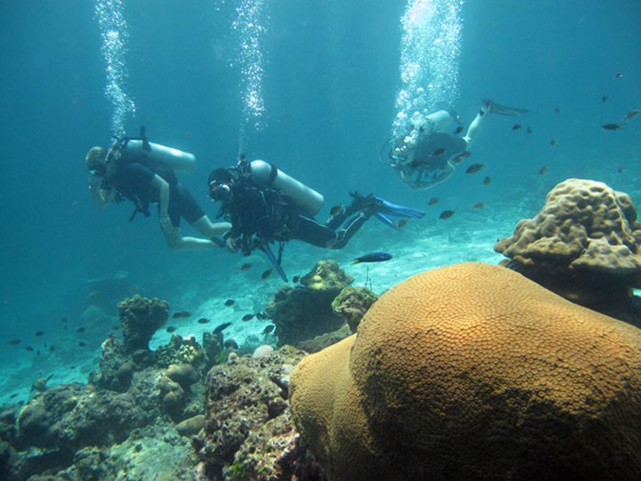 Open Water Course on Koh Lanta with Dive & Relax